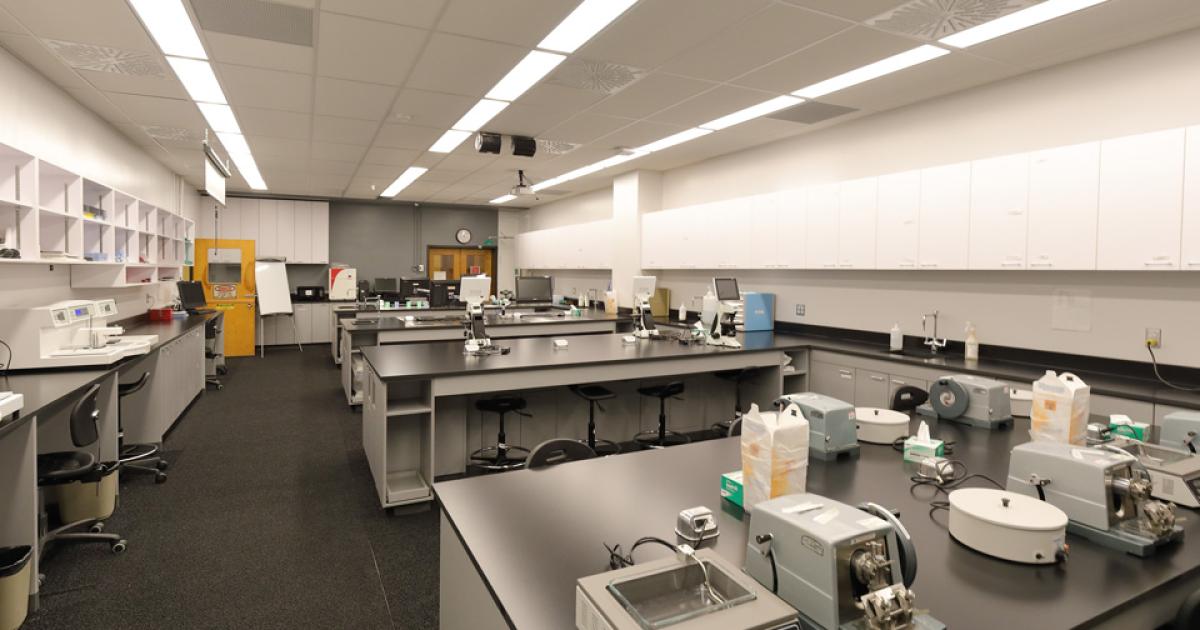 Nos laboratoires | Cégep Saint-Jean-sur-Richelieu